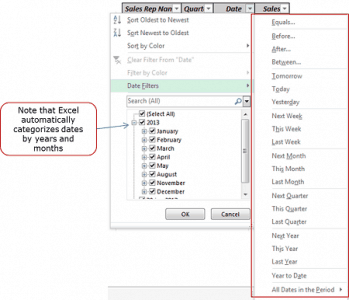 An Introduction to Excel Data Filter Options