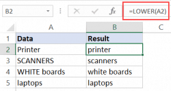How to Use Excel LOWER Function (Examples + Video)