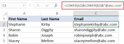 How to Use Excel LOWER Function (Examples + Video)