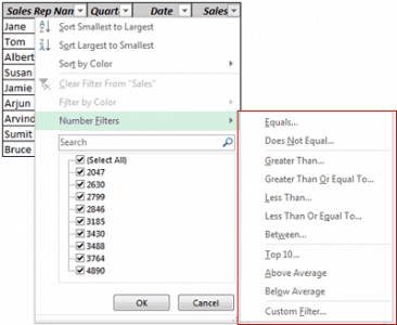 An Introduction to Excel Data Filter Options