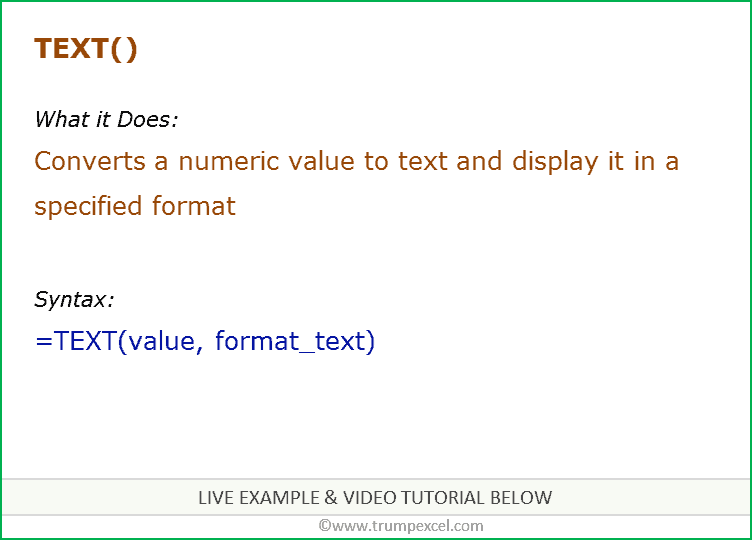 How To Use Excel TEXT Function Examples Video 