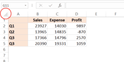 How to Remove Cell Formatting in Excel (from All, Blank, Specific Cells)