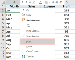 5 Ways to Insert New Columns in Excel (including Shortcut & VBA)