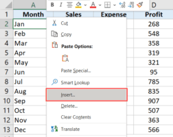 5 Ways to Insert New Columns in Excel (including Shortcut & VBA)