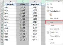 5 Ways to Insert New Columns in Excel (including Shortcut & VBA)