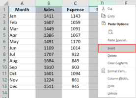 5 Ways to Insert New Columns in Excel (including Shortcut & VBA)