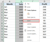5 Ways to Insert New Columns in Excel (including Shortcut & VBA)