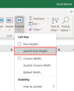 How to Change Row Height in Excel (5 Easy Ways)