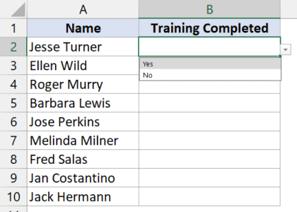 How to Make a Yes/No Drop-Down in Excel? (Easy Ways)