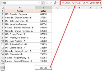SUM cells Based on Partial Text Match (SUMIF / SUMIFS)